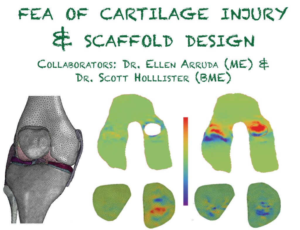 Research Projects – Cartilage Healing and Regeneration (CHaR) Lab